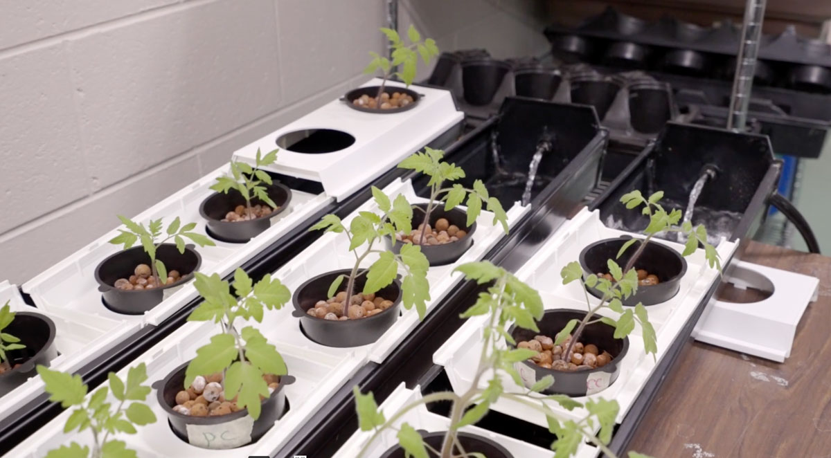 Secondary | SHSM Programs - St. Benedict C.S.S.